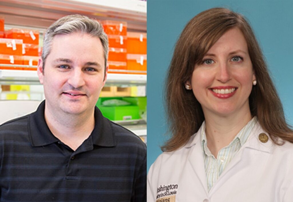 Siteman researchers receive $10.9 million NCI SPORE grant for ...
